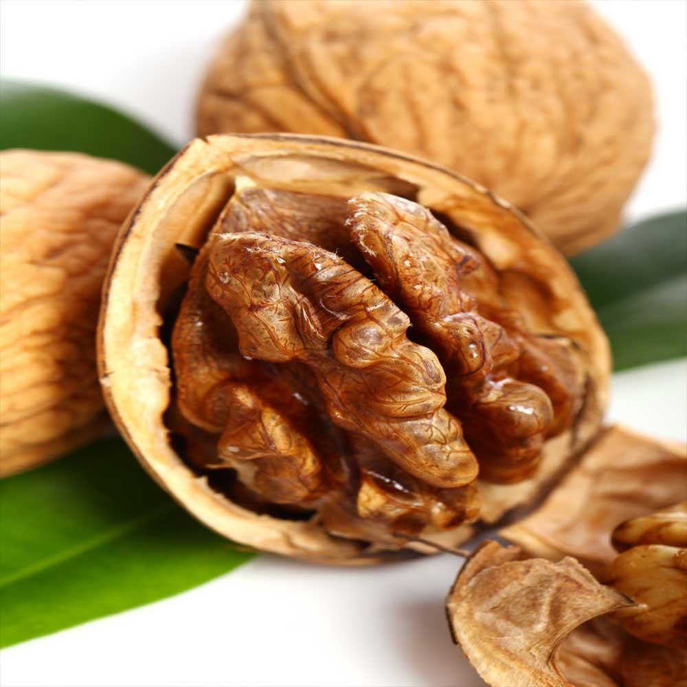 Iranian Walnut Iranian Walnut