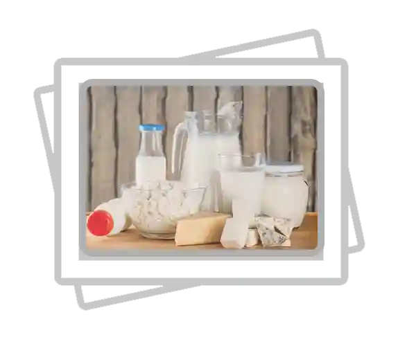 Dairy Products
