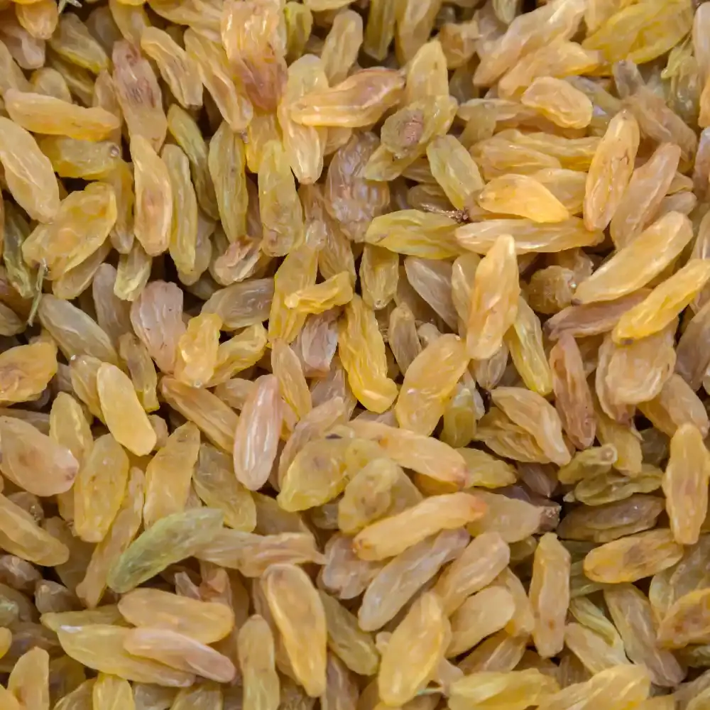 Iranian Green raisins Finest green raisins with natural sweetness